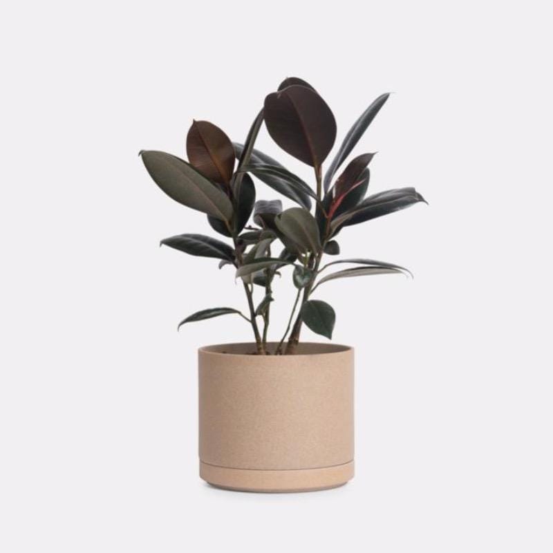 Hasami Porcelain Planter - All Colors – DANSKshop.com